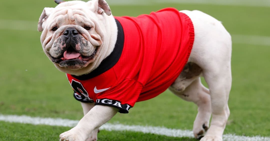 Georgia and Oklahoma Rise in AP Poll Football Rankings